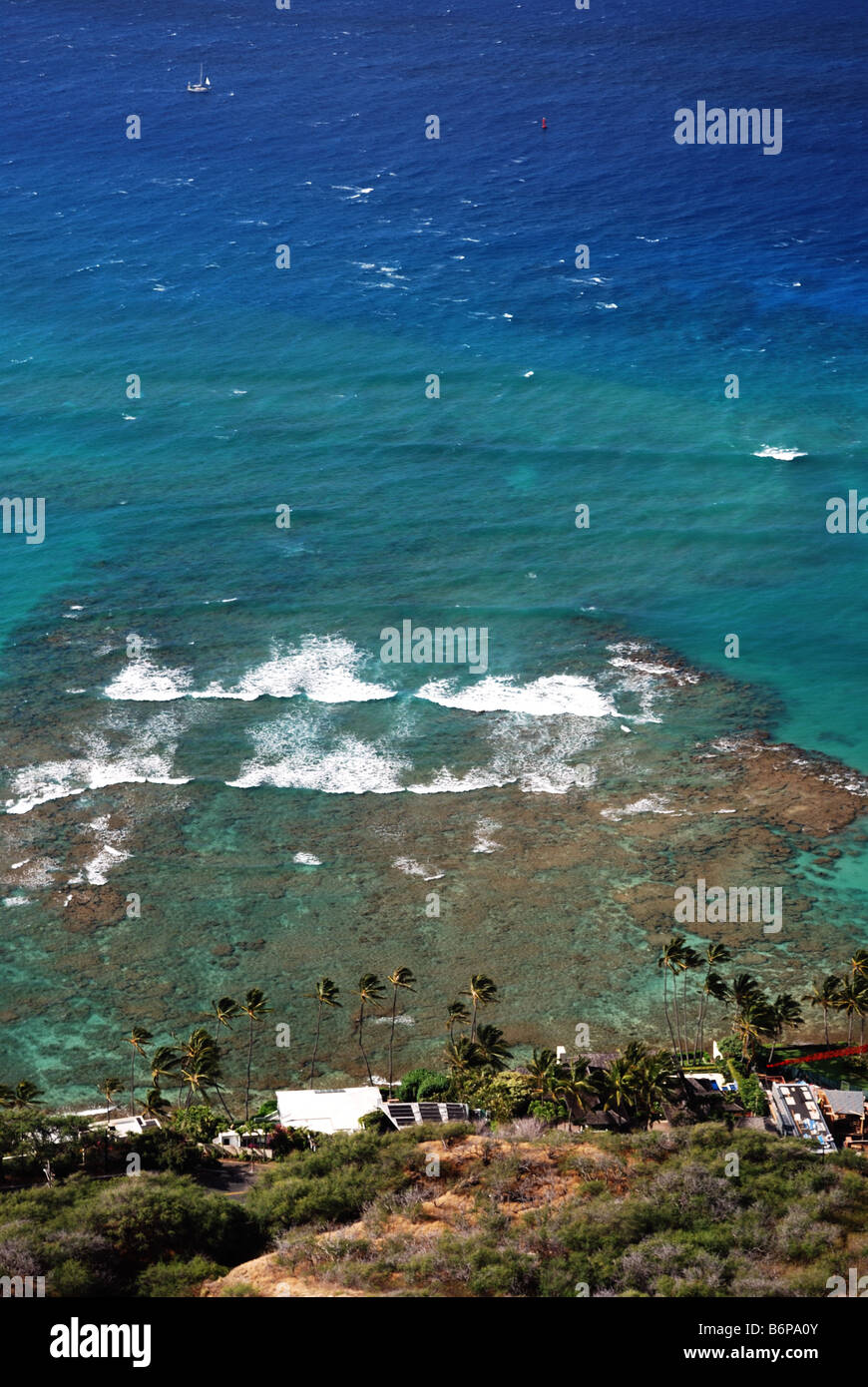 Overhead view of a coral reef in Hawaii Stock Photo - Alamy