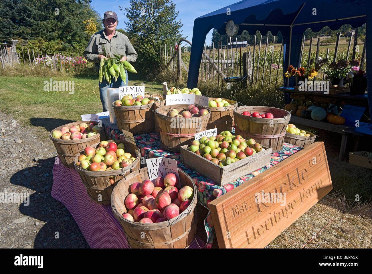 Farm Stand Apple