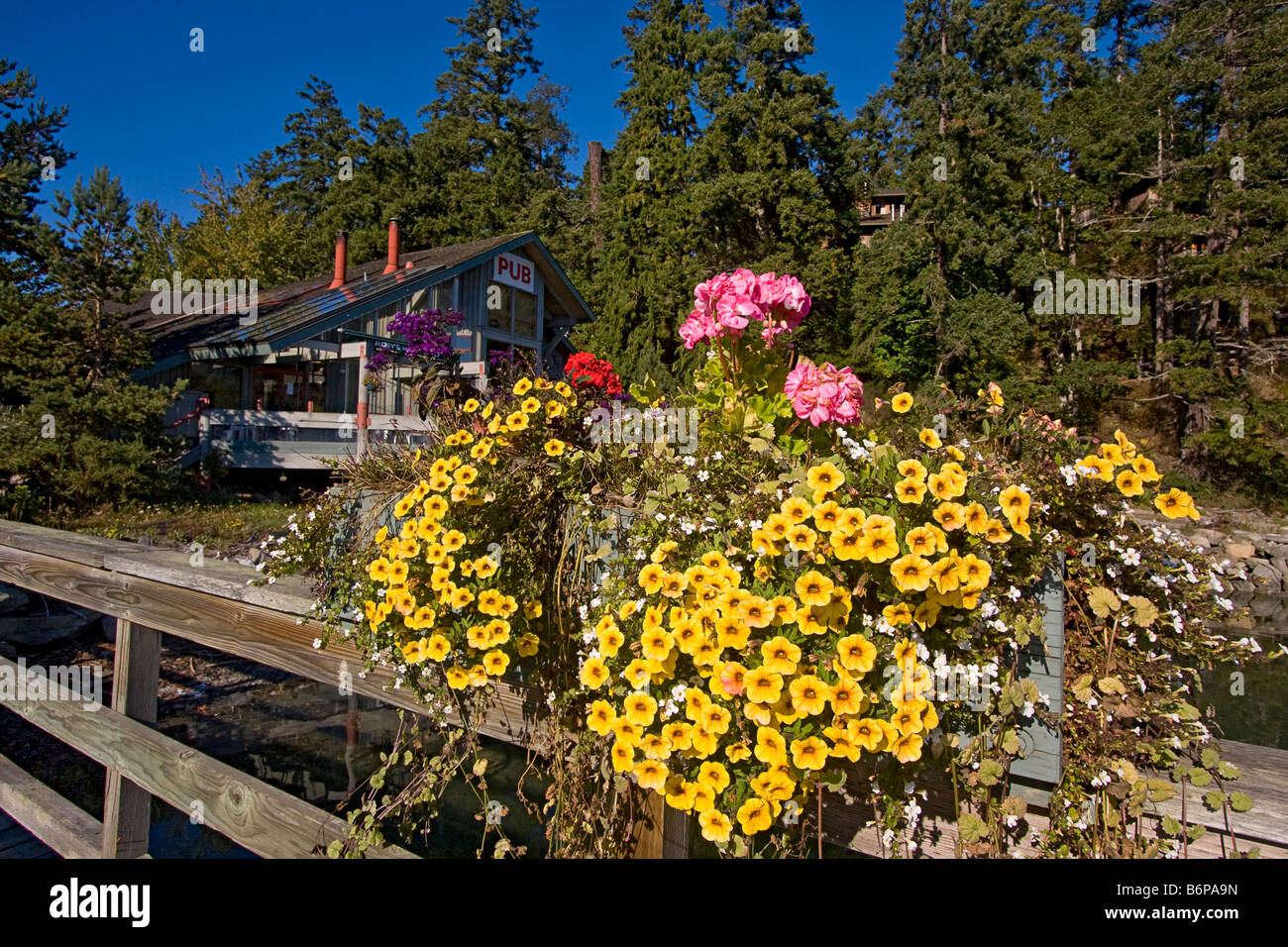 Small boat dock at Ganges Harbour in Salt Spring Island, British ...