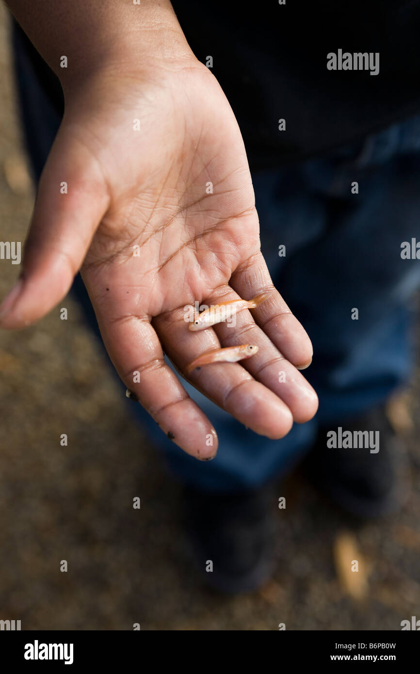 Boy dead hi-res stock photography and images - Alamy