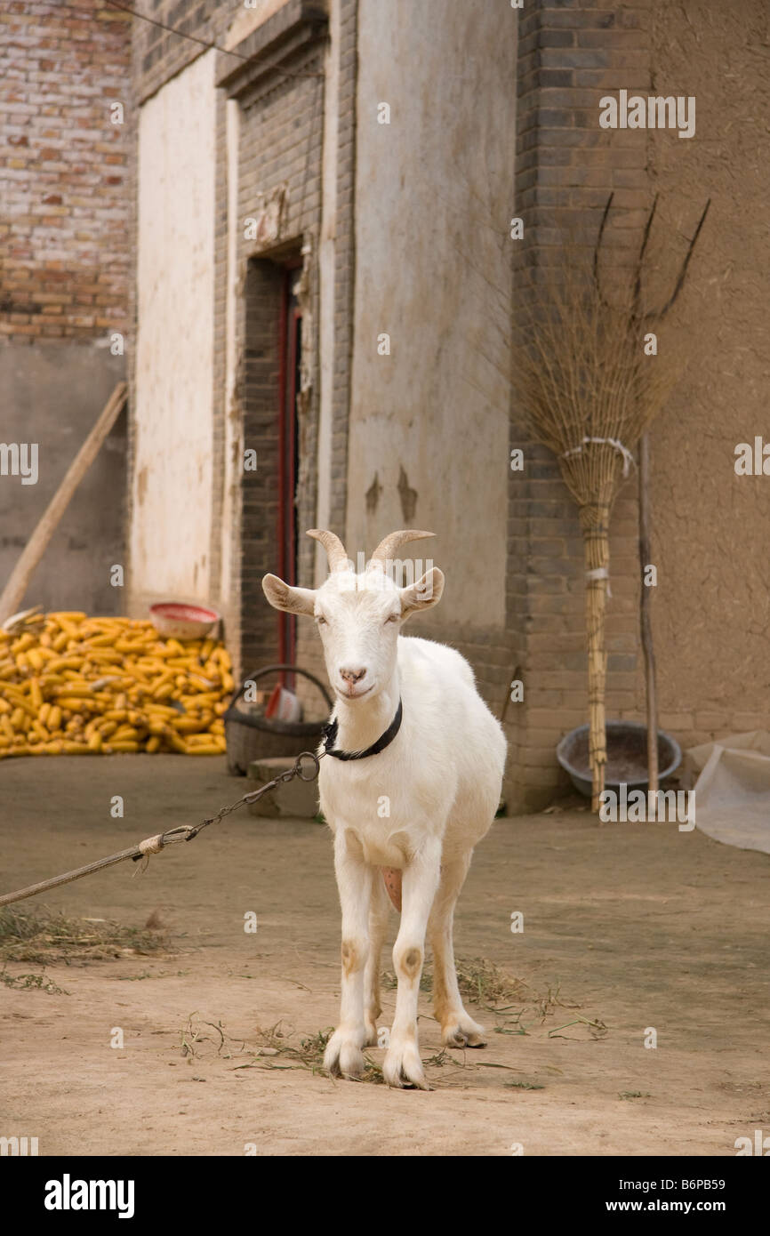 Rural farming in china hi-res stock photography and images - Alamy