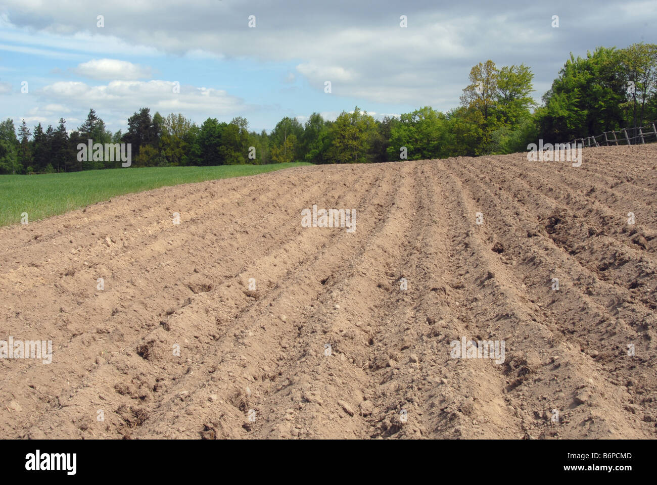 A farmer s plowed field in the country Stock Photo - Alamy