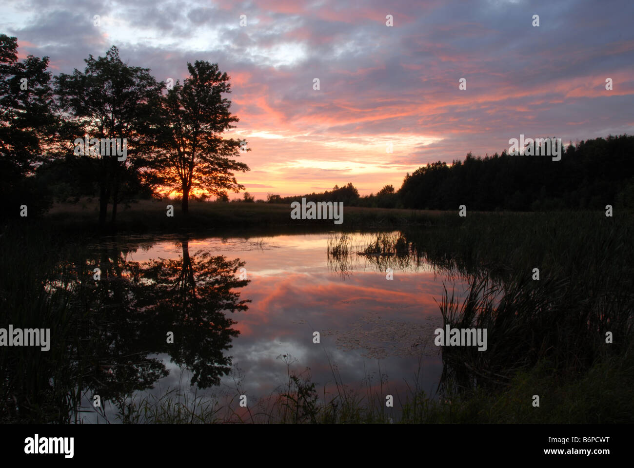 sunset sky over the forest and the lake Stock Photo - Alamy
