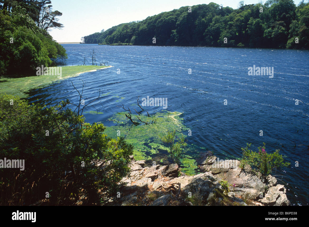 Loe Pool, Cornwall Stock Photo - Alamy