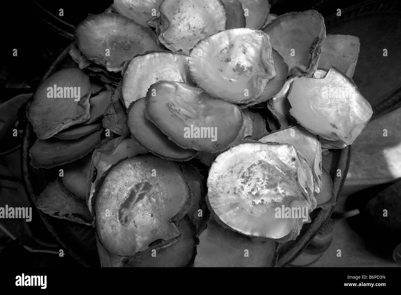 Oman, Muscat, Muttrah District. Oyster Shells, pearl industry Stock ...