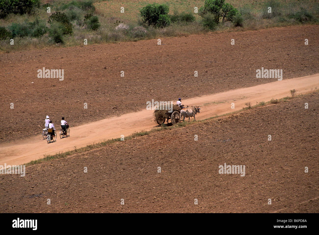 Myanmar (Burma), Bagan, rural road with bikes and cart Stock Photo - Alamy