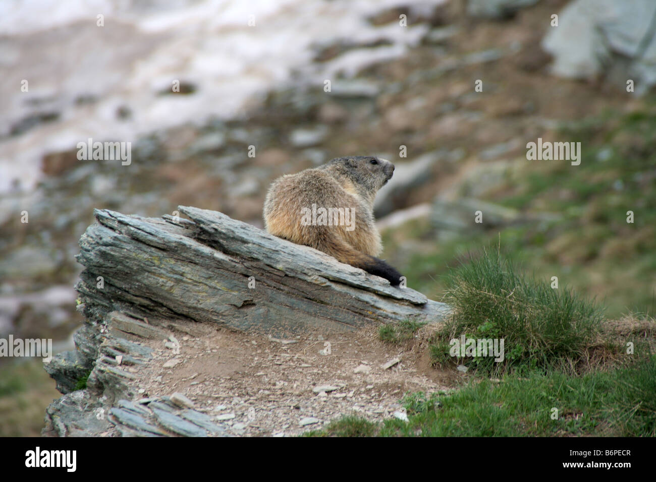 Mercantour french hi-res stock photography and images - Alamy