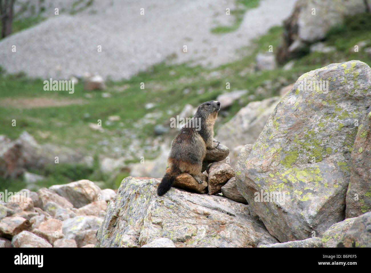 Mercantour french hi-res stock photography and images - Alamy
