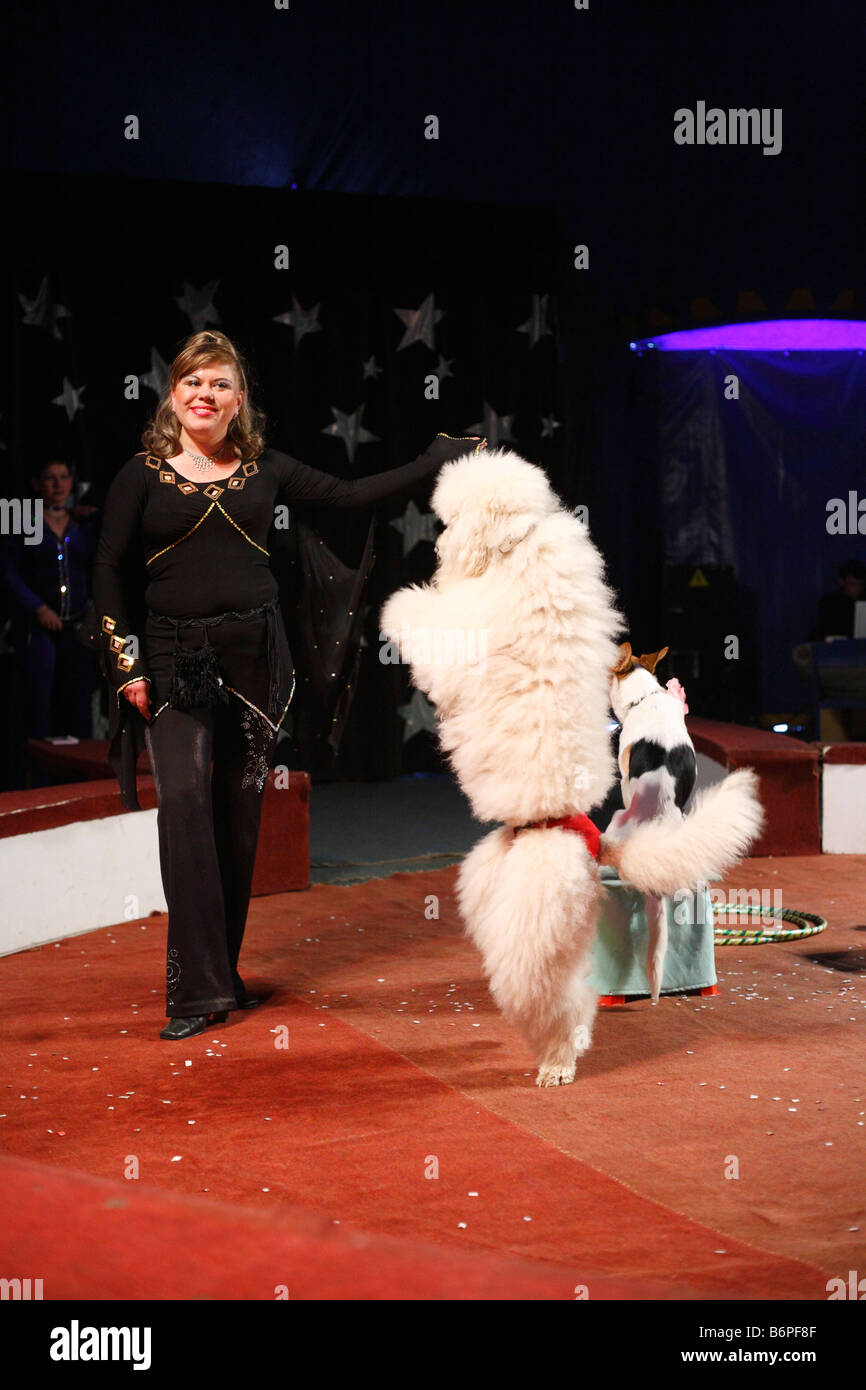 Circus dog trick hi-res stock photography and images - Alamy
