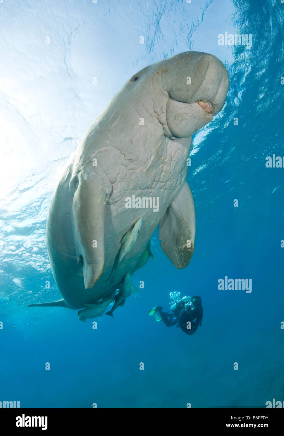 Water surface sea ocean Cut Out Stock Images & Pictures - Alamy