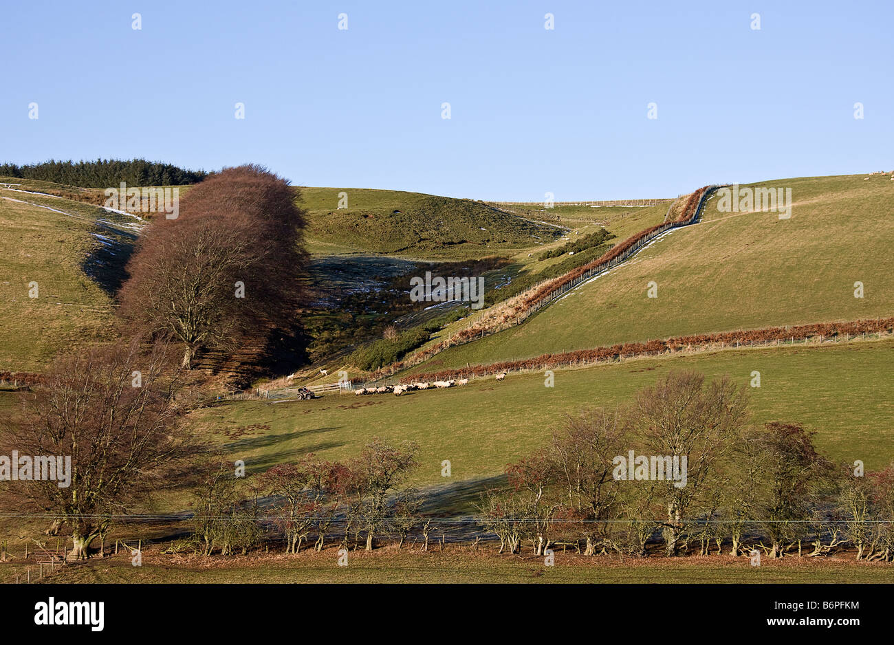 Nr longcroft hi-res stock photography and images - Alamy