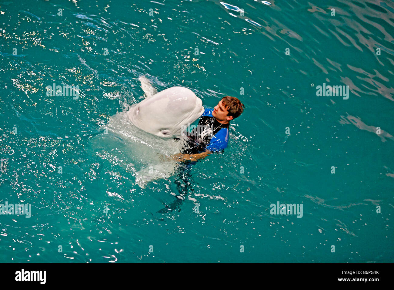 Man riding dolphin hi-res stock photography and images - Alamy