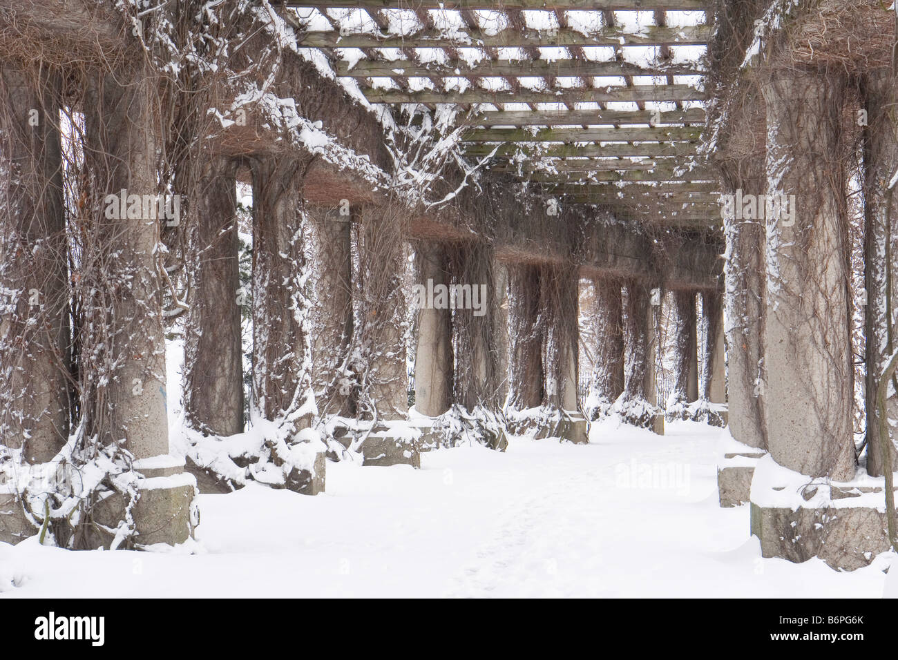 Pergola covered with snow in winter Wroclaw Poland Stock Photo - Alamy