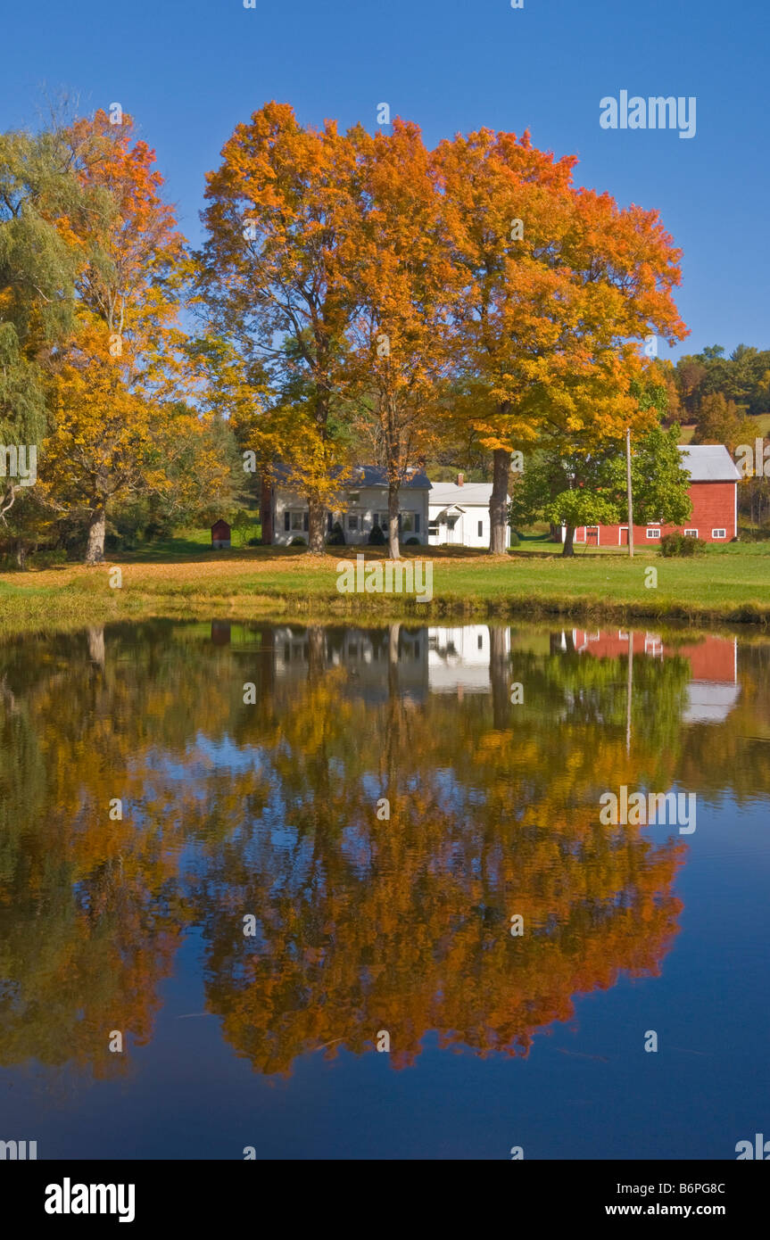 Autumn colours surrounding a farmhouse and traditional red barn ...