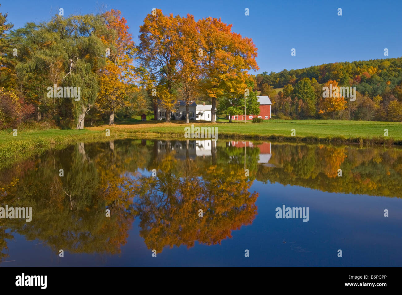 Autumn colours surrounding a farmhouse and traditional red barn ...