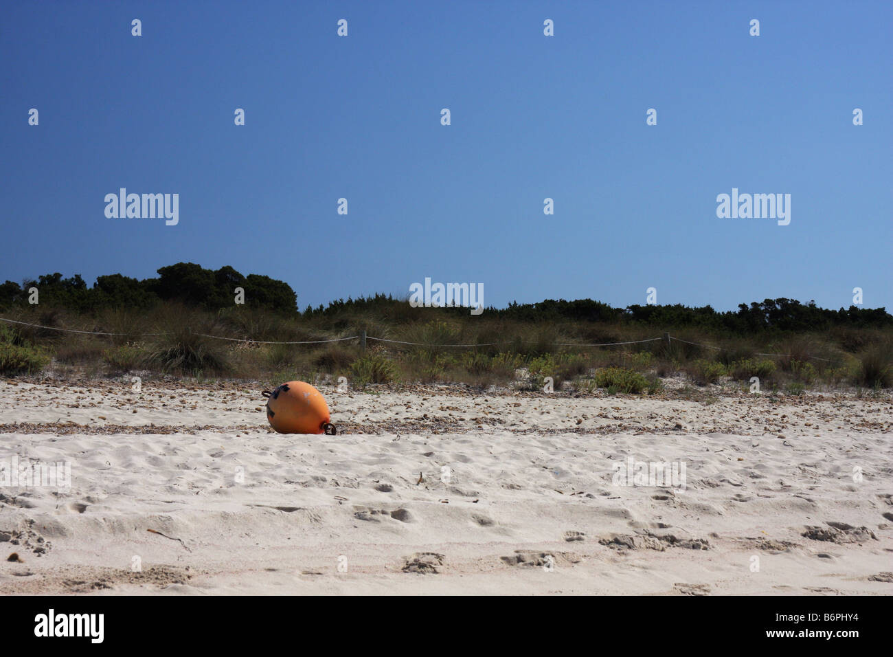 Beached buoy on the sand Stock Photo - Alamy