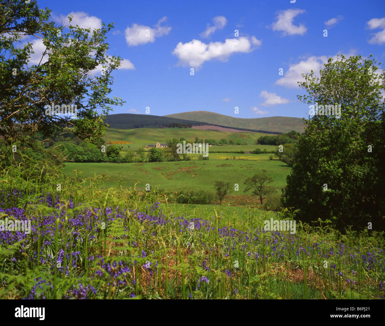 Ochil Hills Spring High Resolution Stock Photography and Images - Alamy