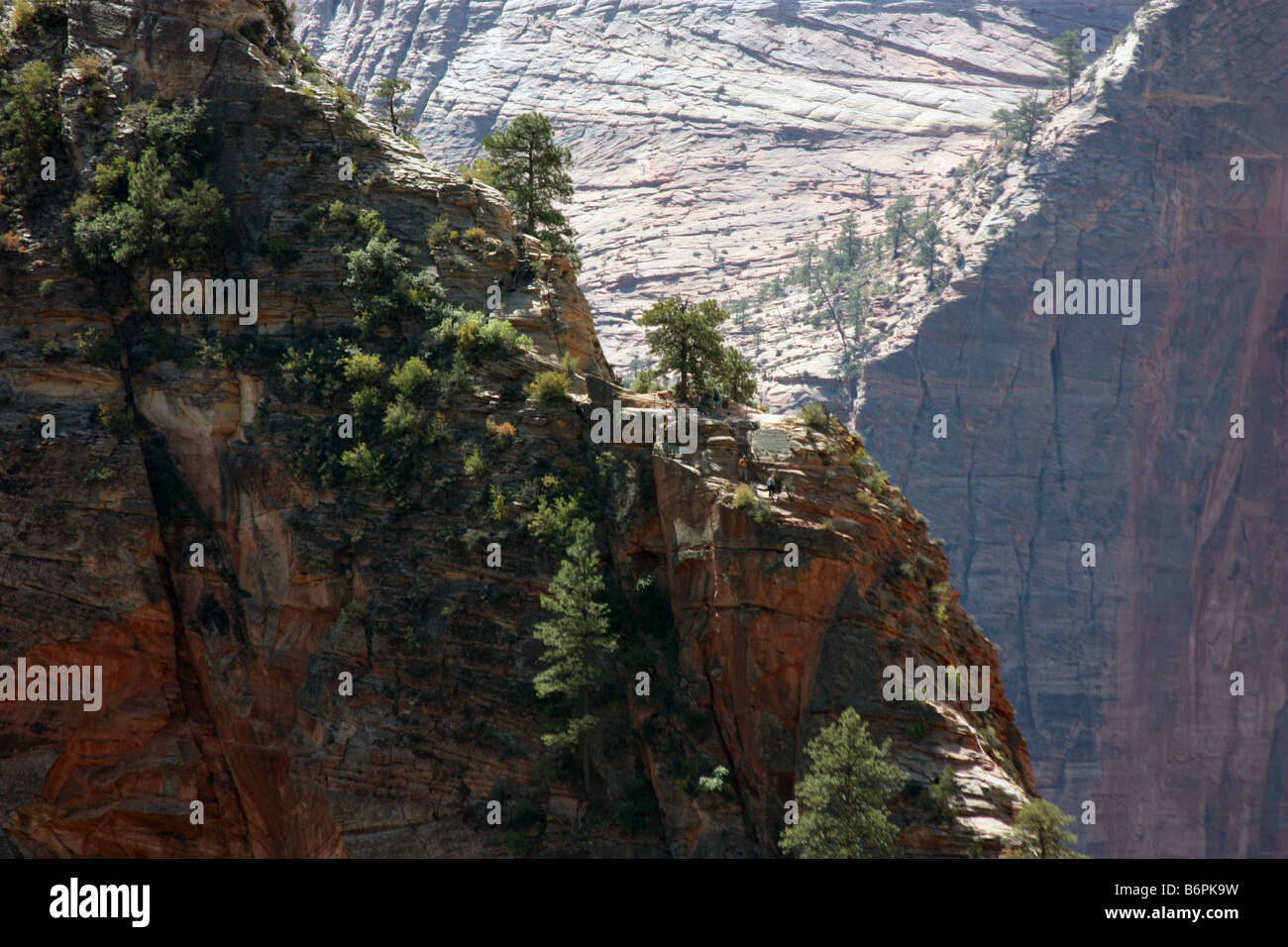 View of Angel's Landing from West Rim Trail above Scouts Landing, Zion ...