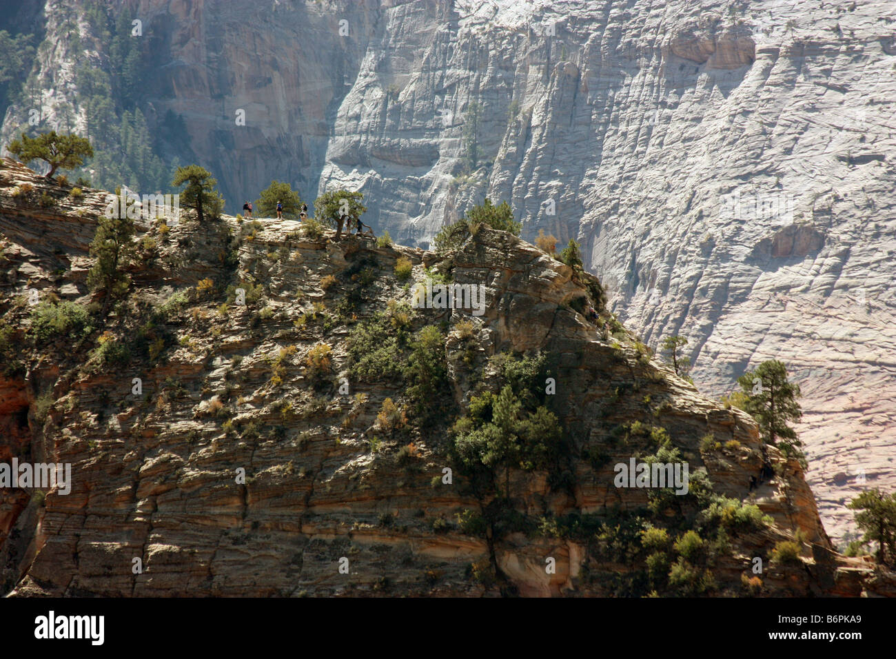 View of Angel's Landing from West Rim Trail above Scouts Landing, Zion ...