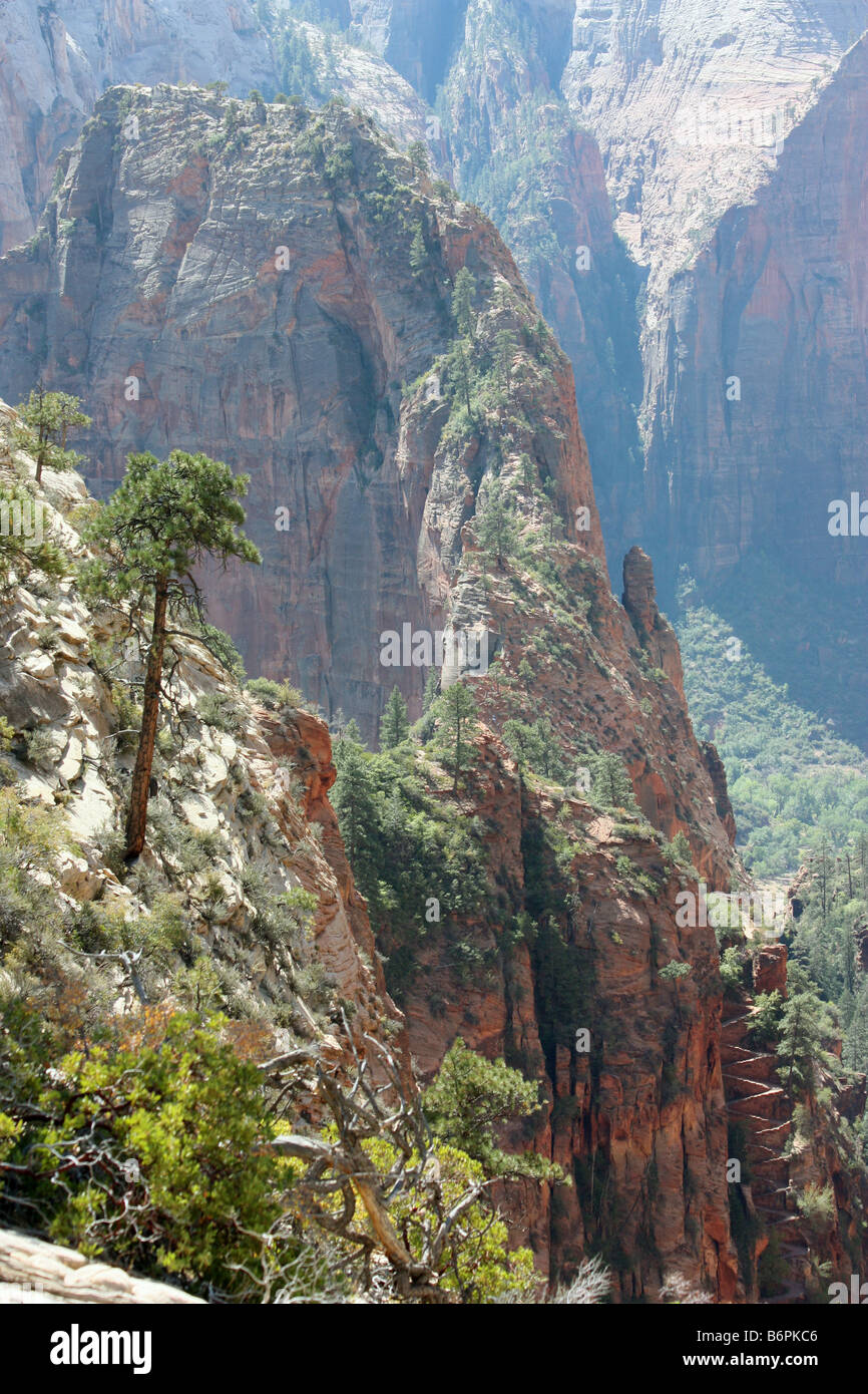 Scouts lookout hi-res stock photography and images - Alamy