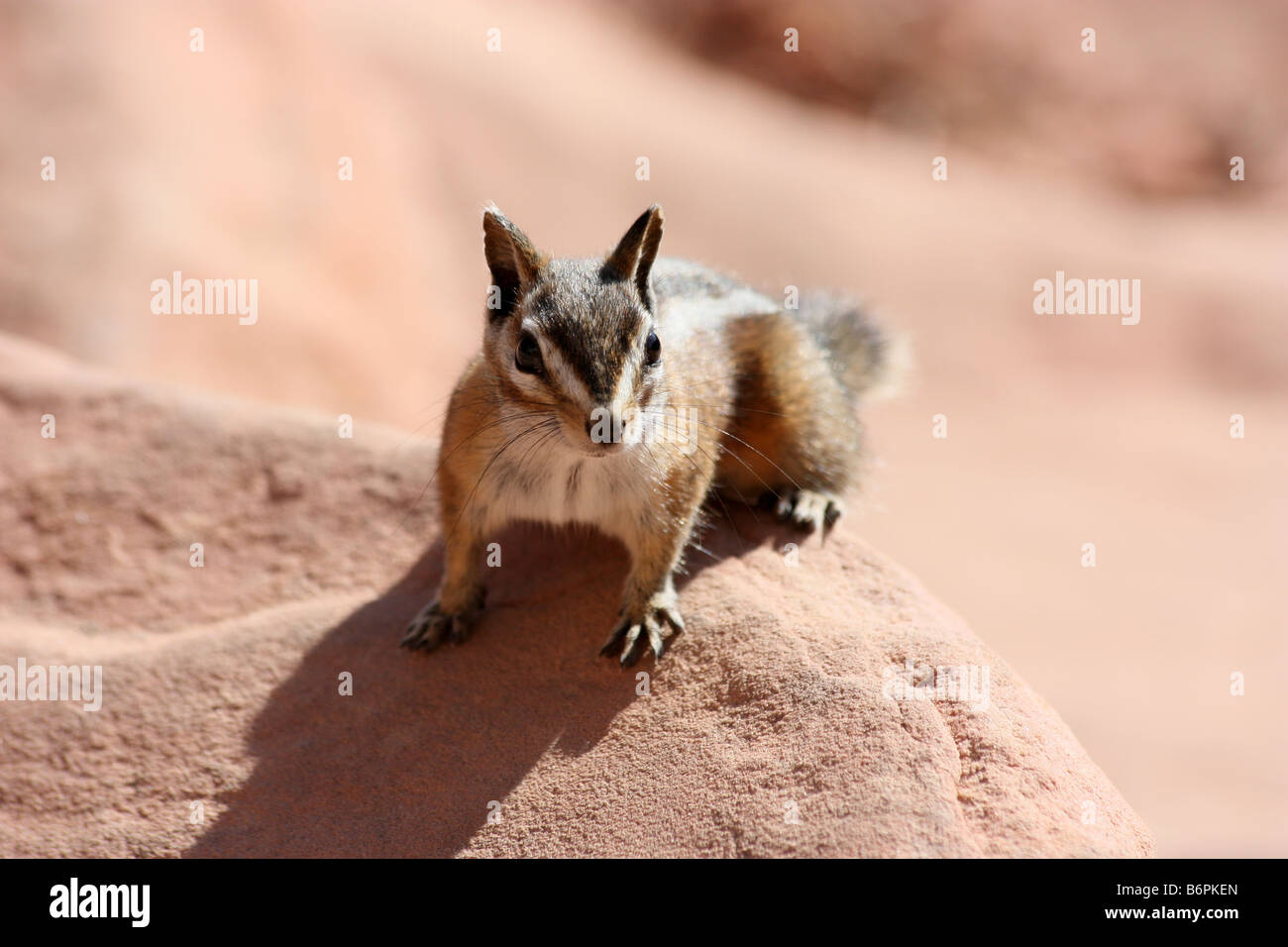 Scouts landing hi-res stock photography and images - Alamy