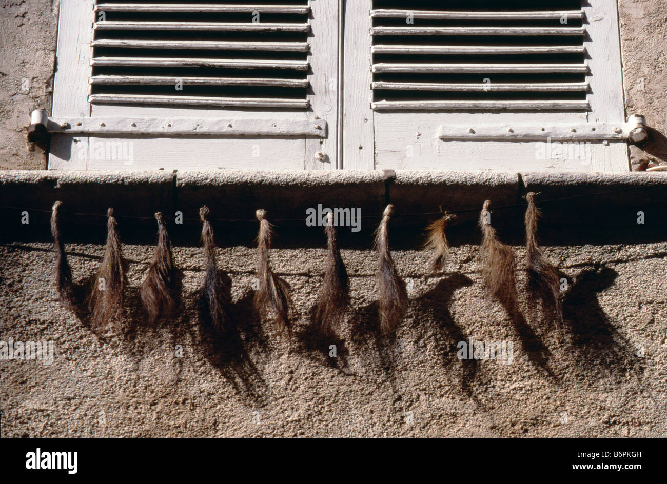Trophies france hunting hi-res stock photography and images - Alamy