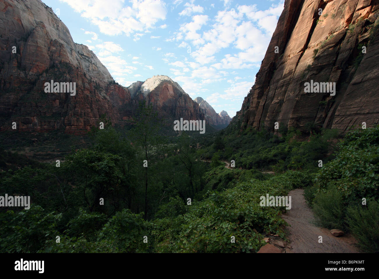 View back along the West Rim Trail, looking down Zion Canyon Stock ...