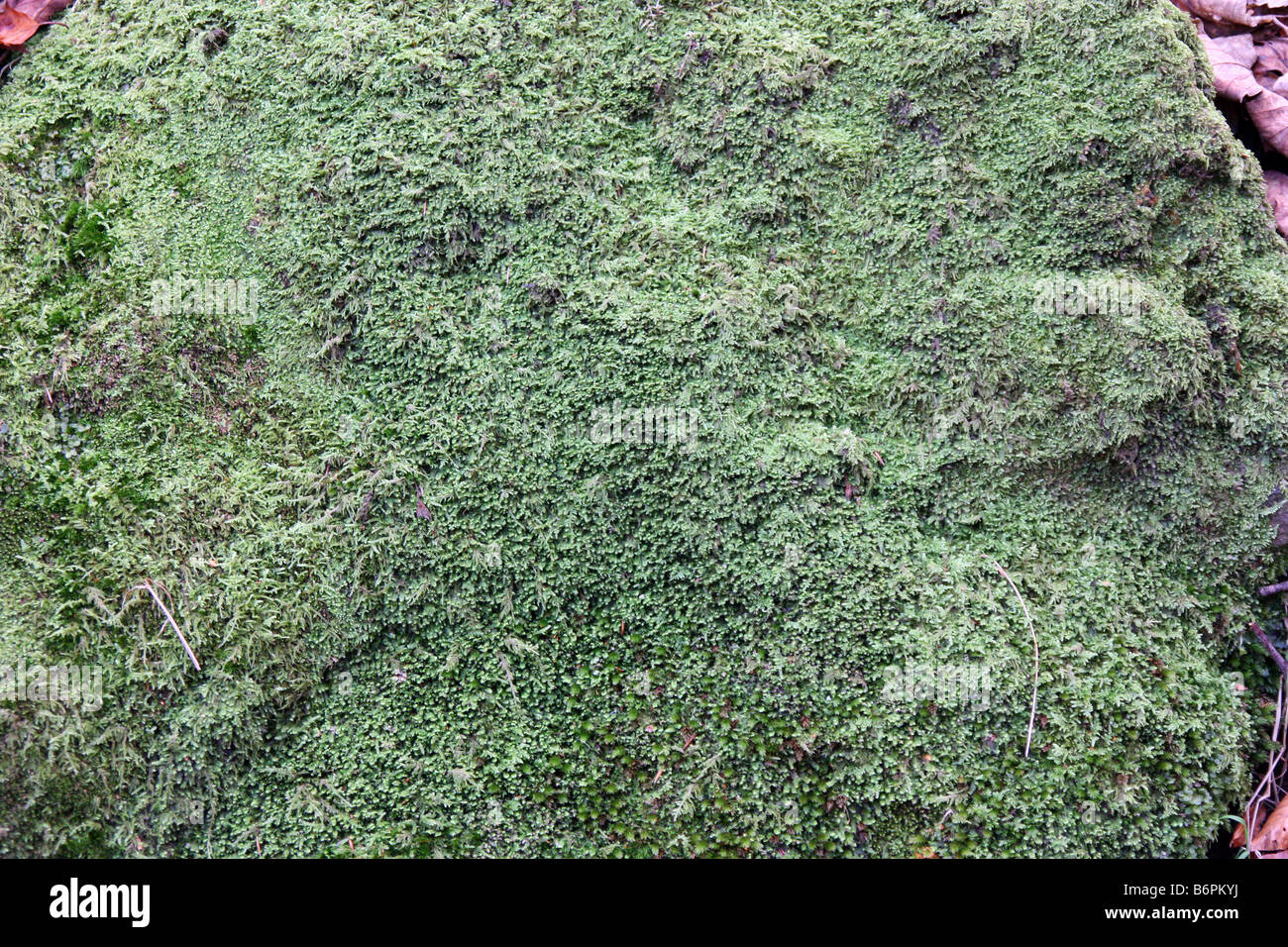 Aged rocks hi-res stock photography and images - Alamy
