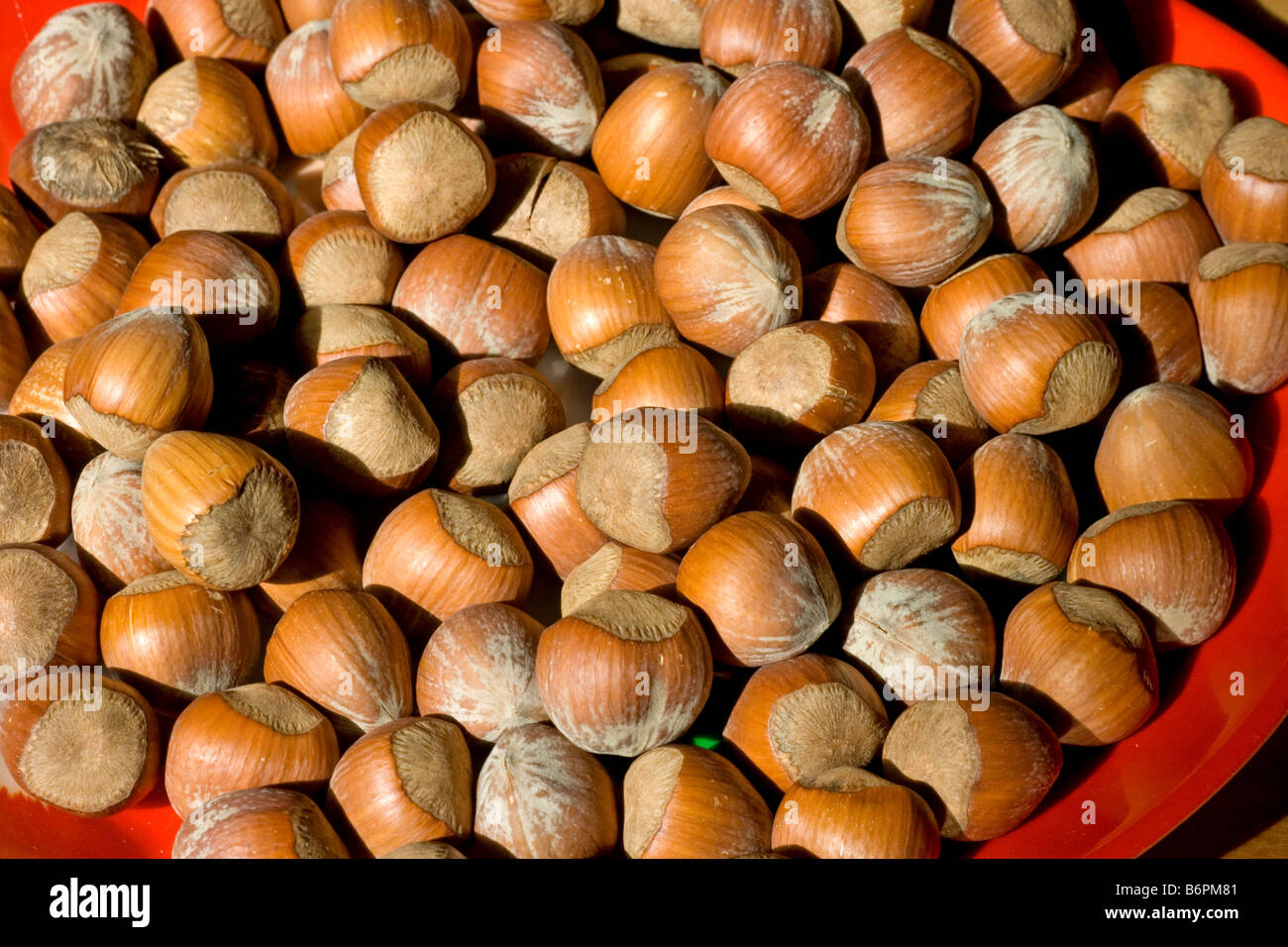 Hazelnut corylus avellana group hi-res stock photography and images - Alamy