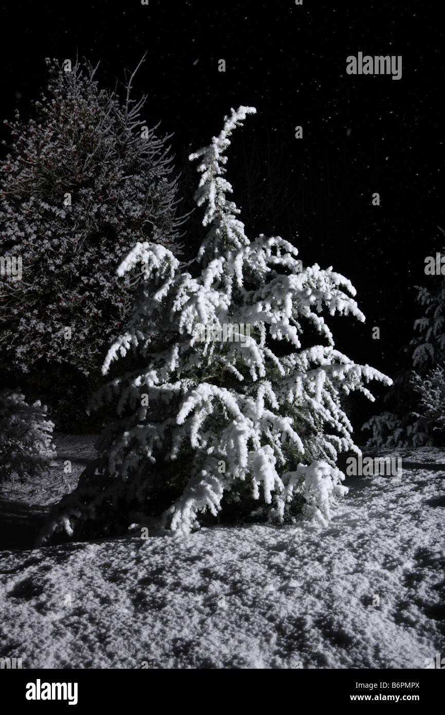 Snow falling night hi-res stock photography and images - Alamy