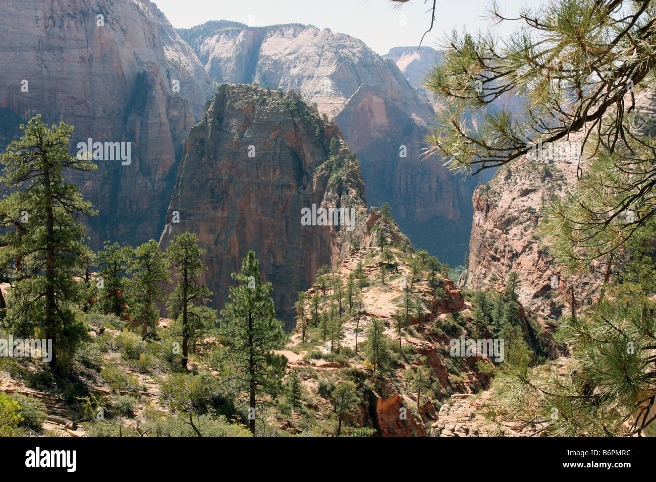 View of Angel's Landing from West Rim Trail above Scouts Landing, Zion ...