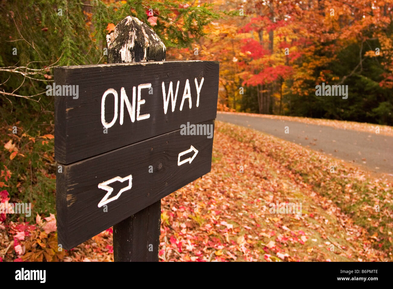 One way sign on a scenic road in Fall Creek Falls State Park Tennessee ...