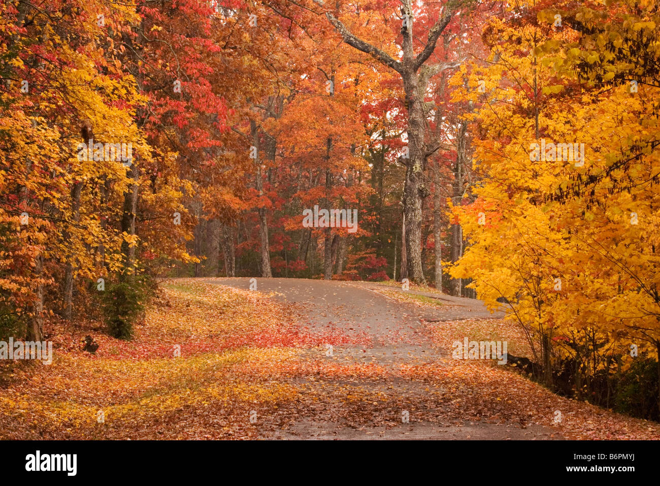 Scenic road through Fall Creek Falls State Park Tennessee Stock Photo ...