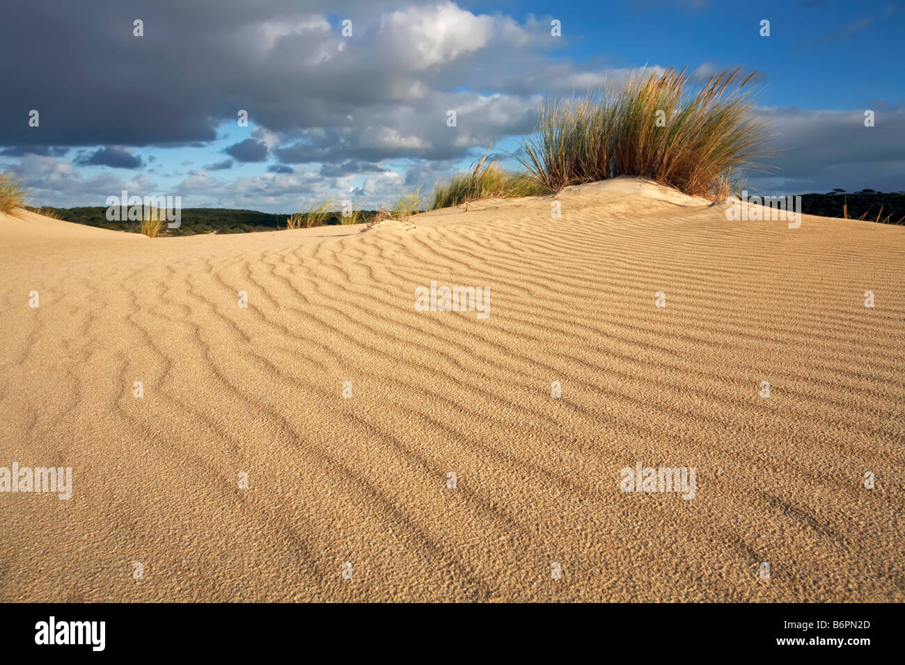 Little dunes hi-res stock photography and images - Alamy