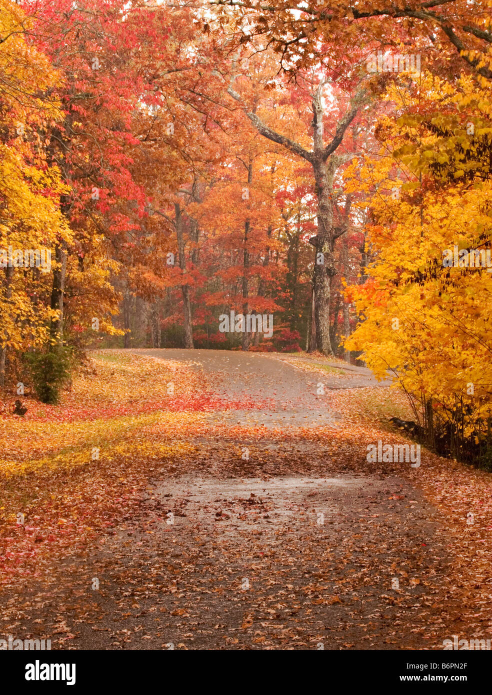 Scenic road through Fall Creek Falls State Park Tennessee Stock Photo ...