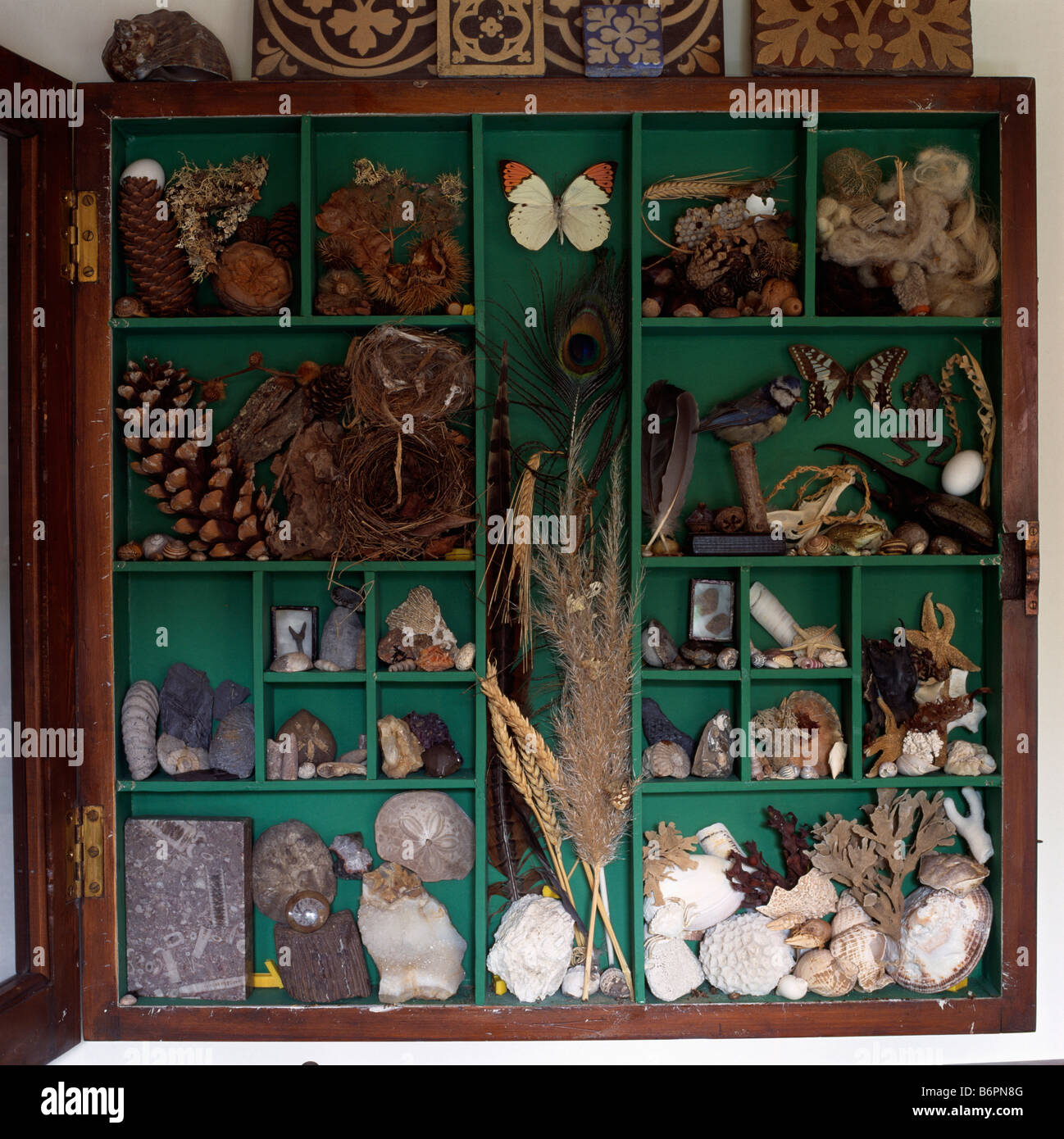 Collection of found objects hi-res stock photography and images - Alamy