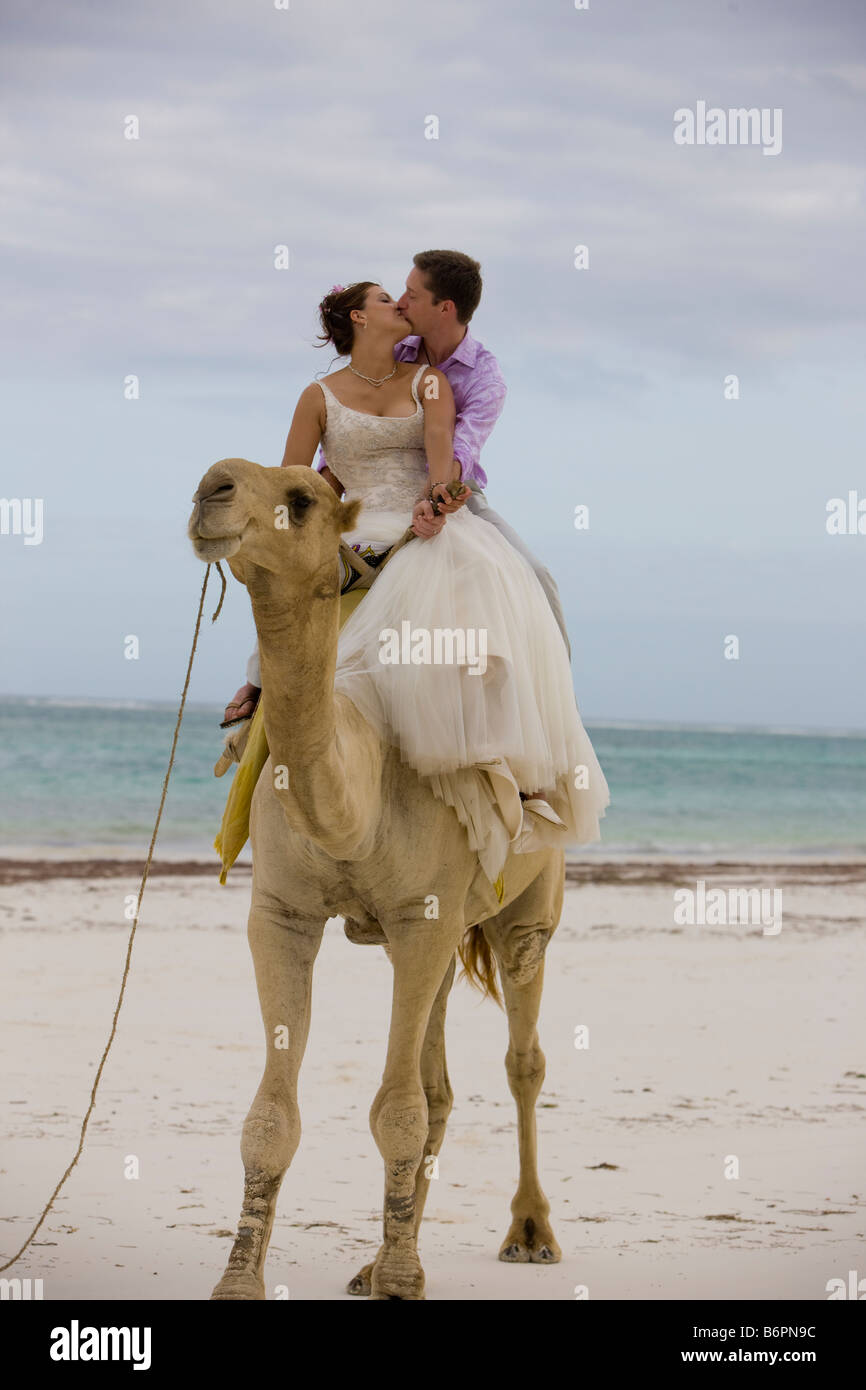 Camel kiss hi-res stock photography and images - Alamy