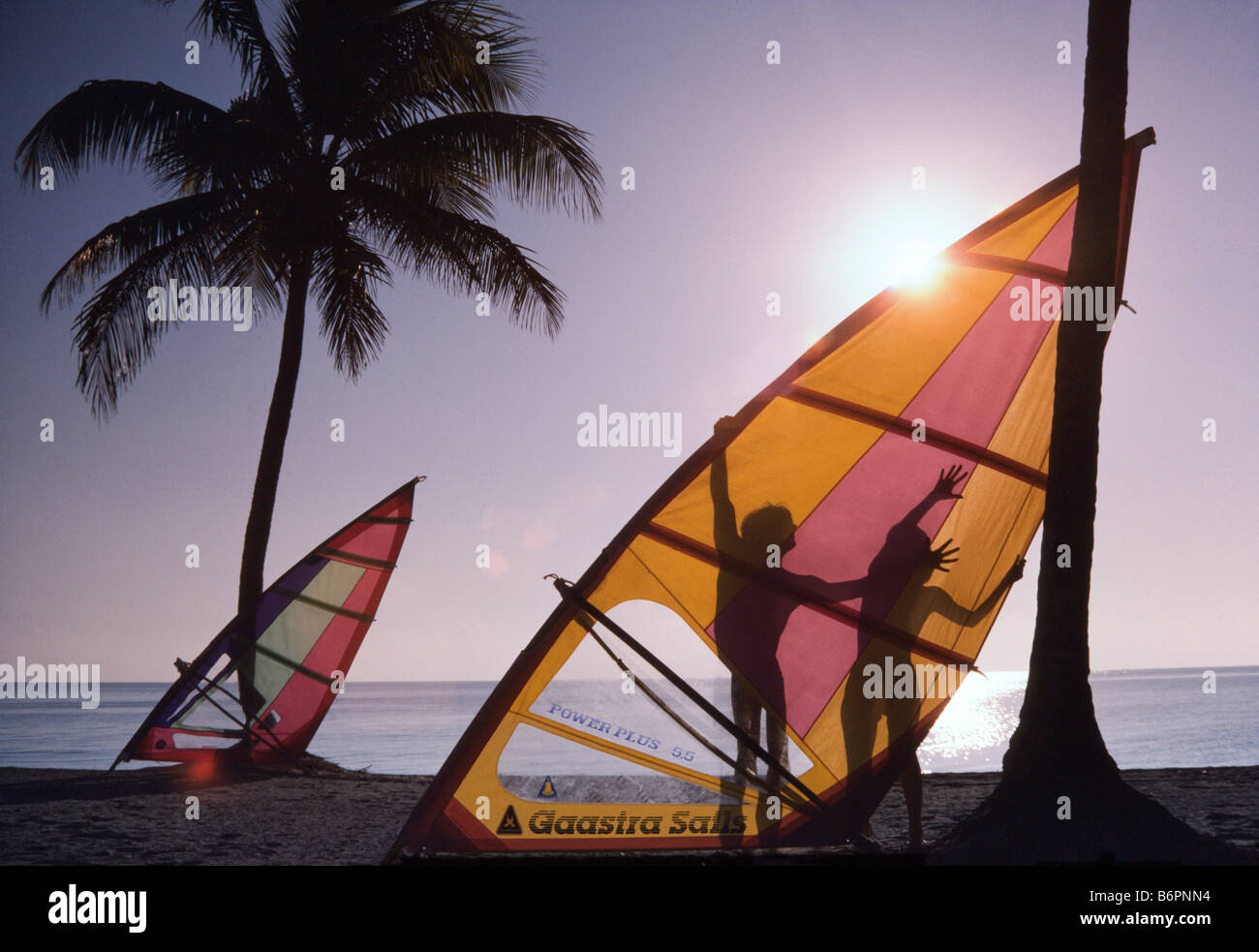 Couple relaxing after windsurfing, palm trees and ocean, Miami Stock ...