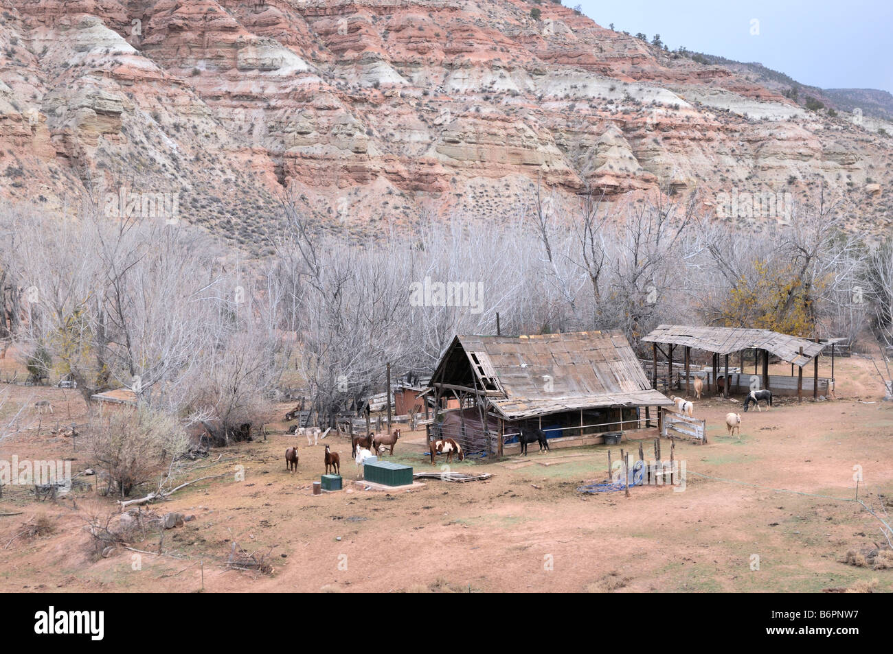 Old homestead ranch with horses and stable in Upper Zion National Park ...