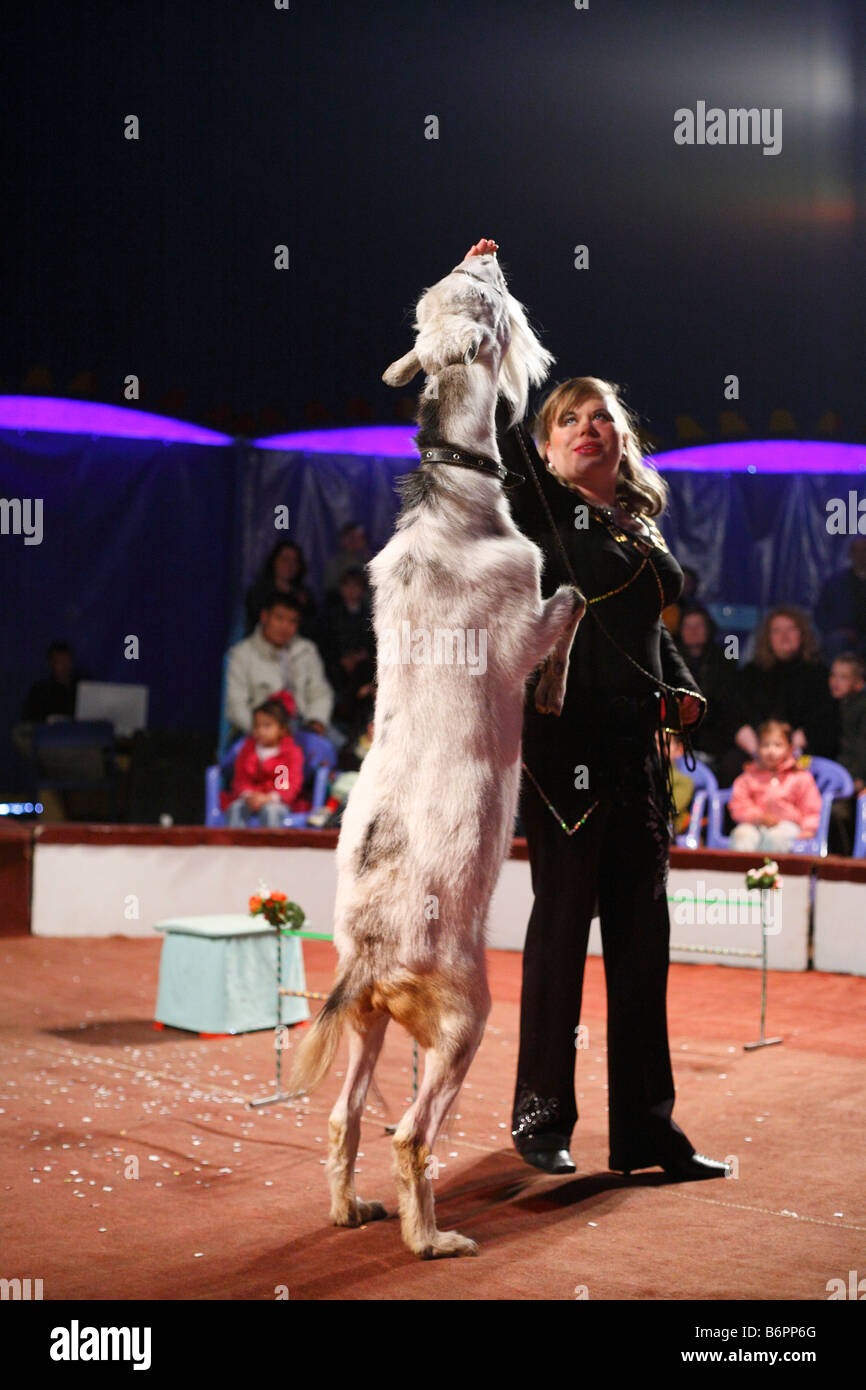 Circus tamer hi-res stock photography and images - Alamy