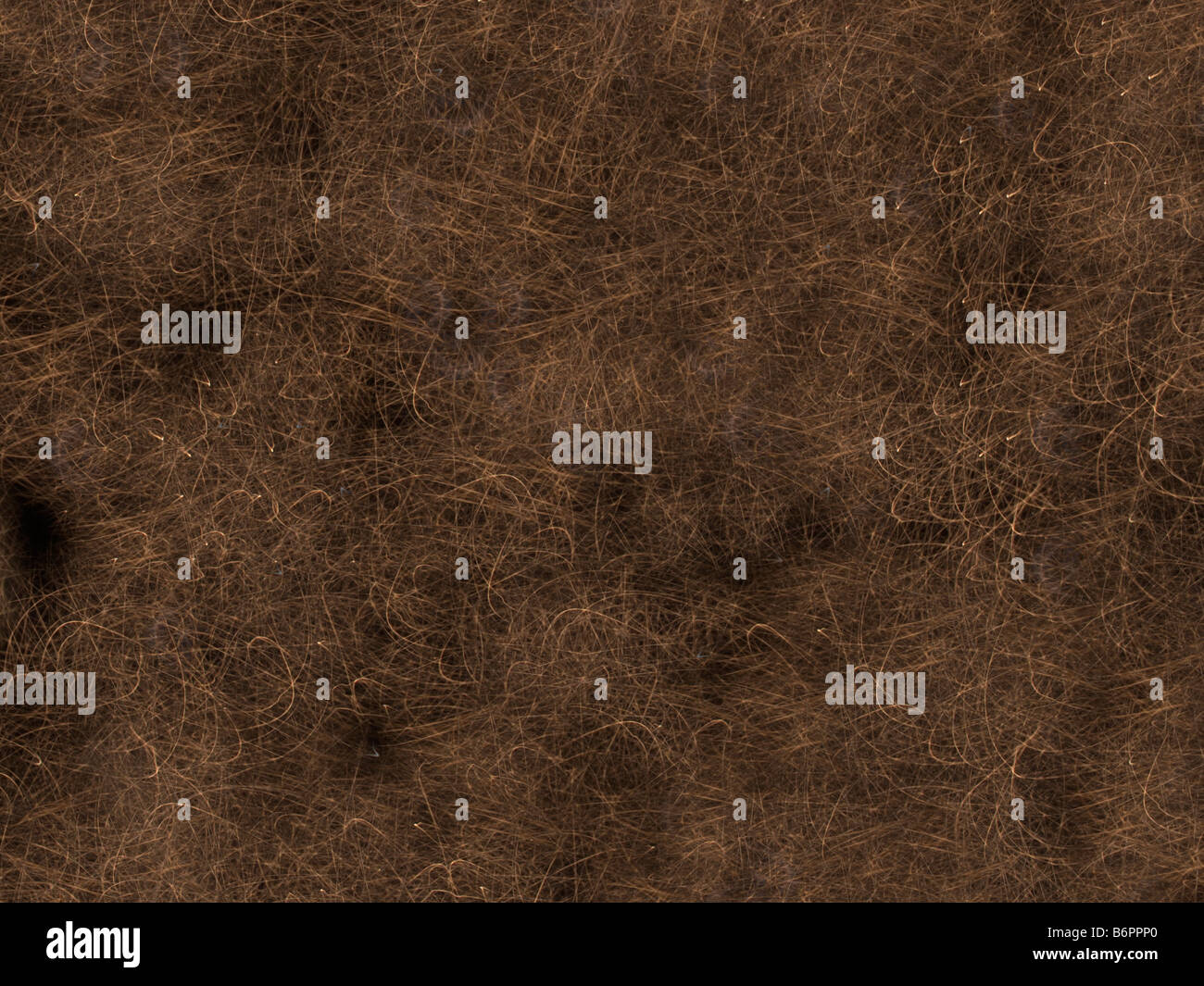 Glowing patterns Cut Out Stock Images & Pictures - Alamy