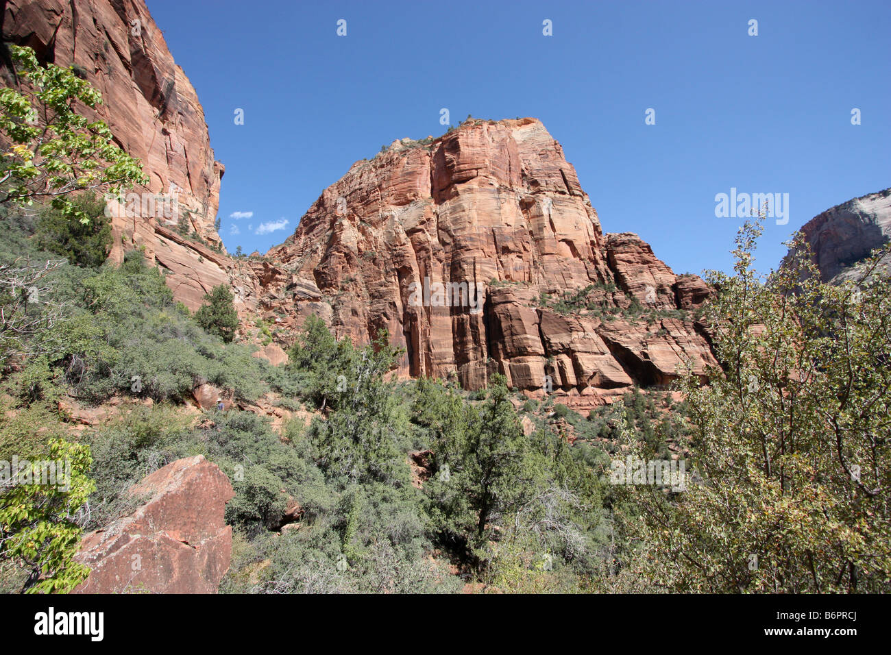 View of Angel's Landing ridge from the West Rim Trail, Zion National ...