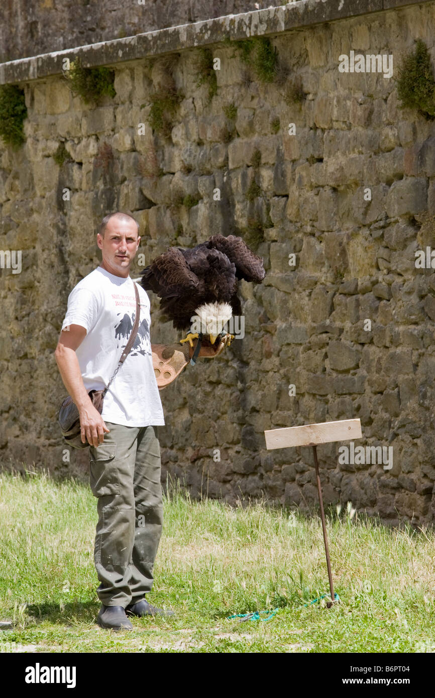 An eagle and bird handler practicing for medieval games in Carcassonne ...