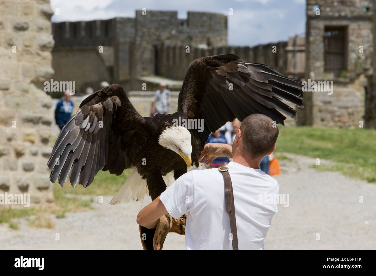 Eagle trainer hi-res stock photography and images - Alamy