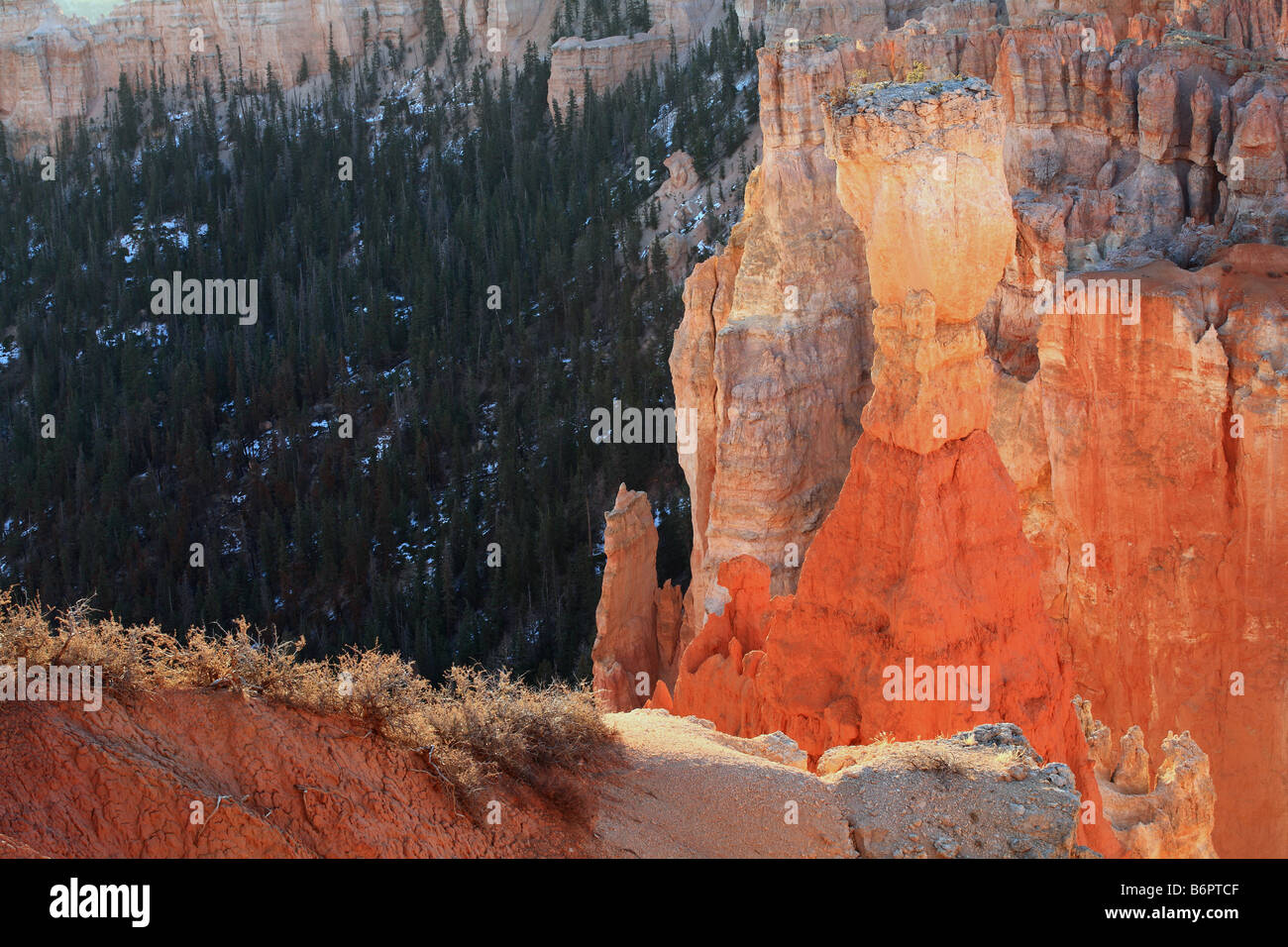 Hunter bryce hi-res stock photography and images - Alamy