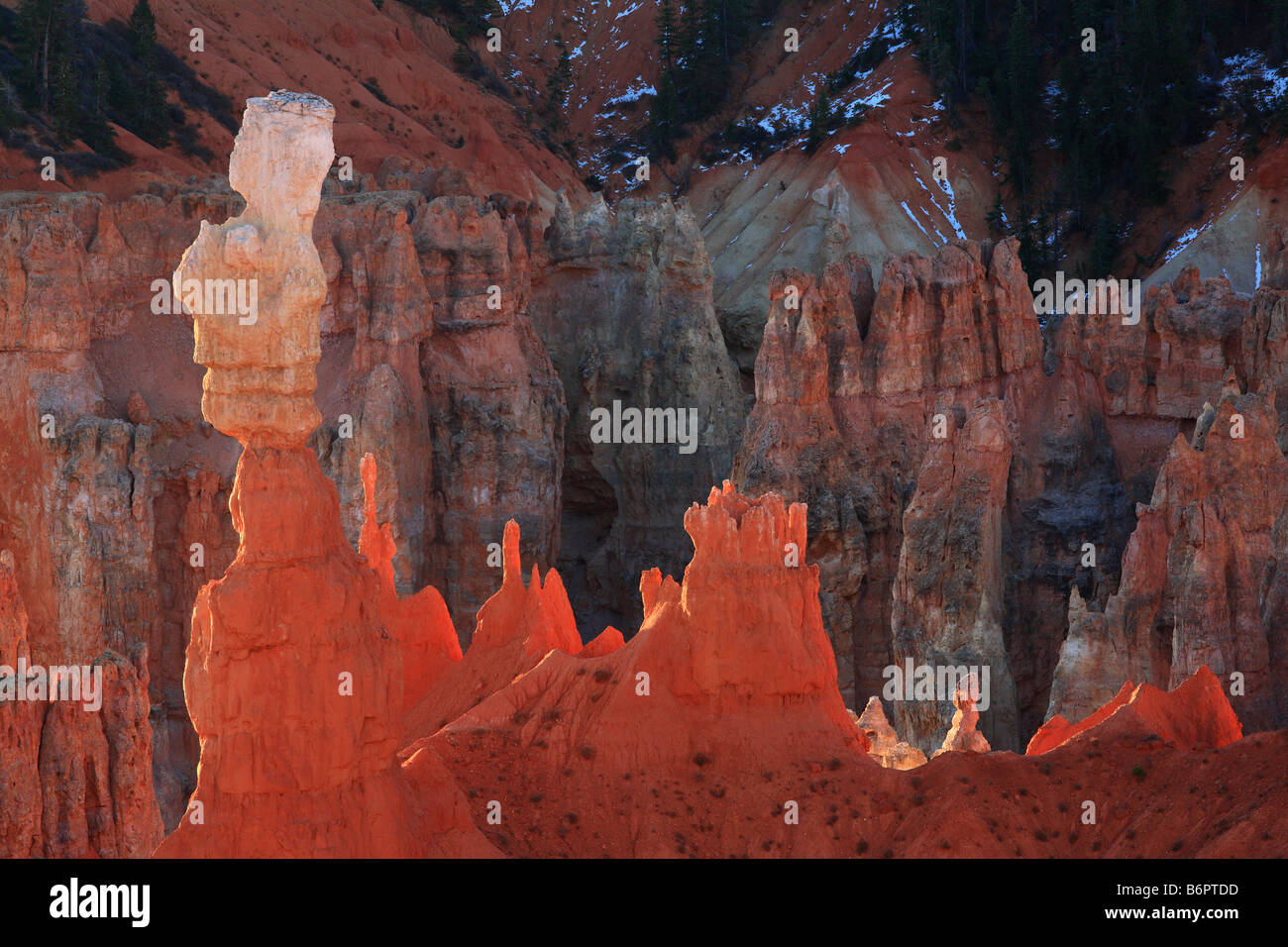 The rock formation called "Rabbit", Agua Canyon, Bryce National Park ...