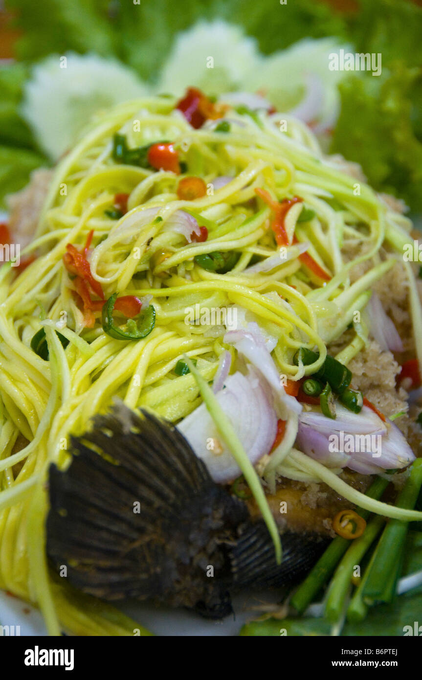 Snakehead fish hi-res stock photography and images - Alamy