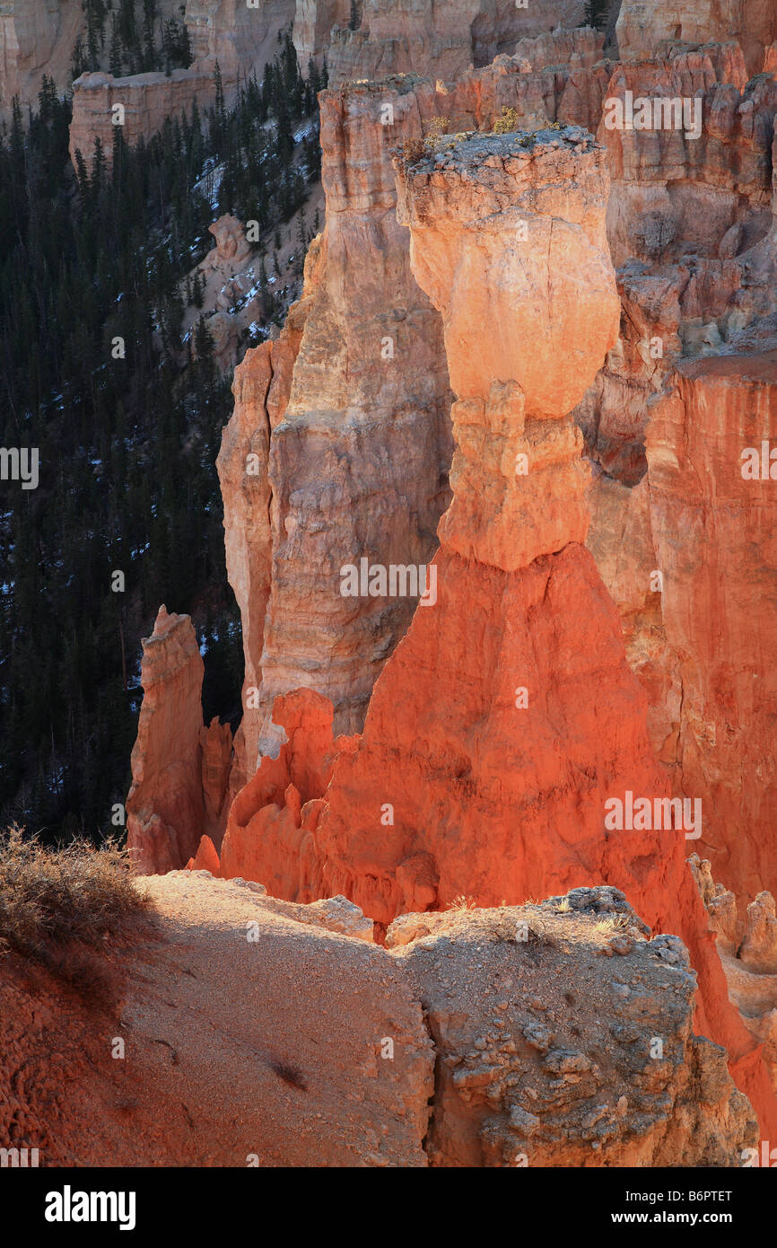 Hunter bryce hi-res stock photography and images - Alamy