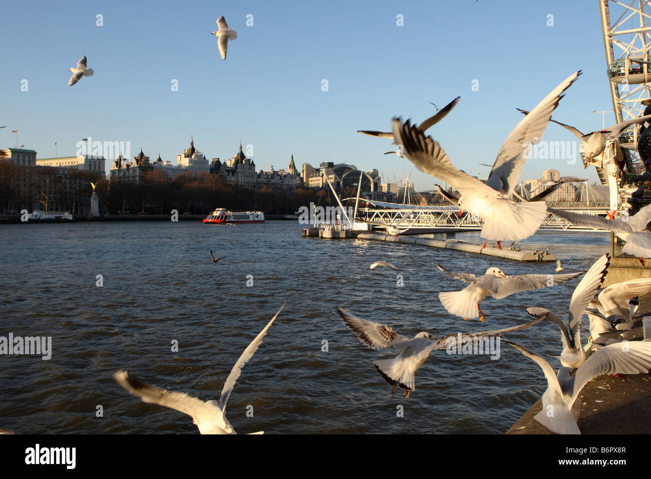 Thames river outside of London Aquarium Stock Photo - Alamy