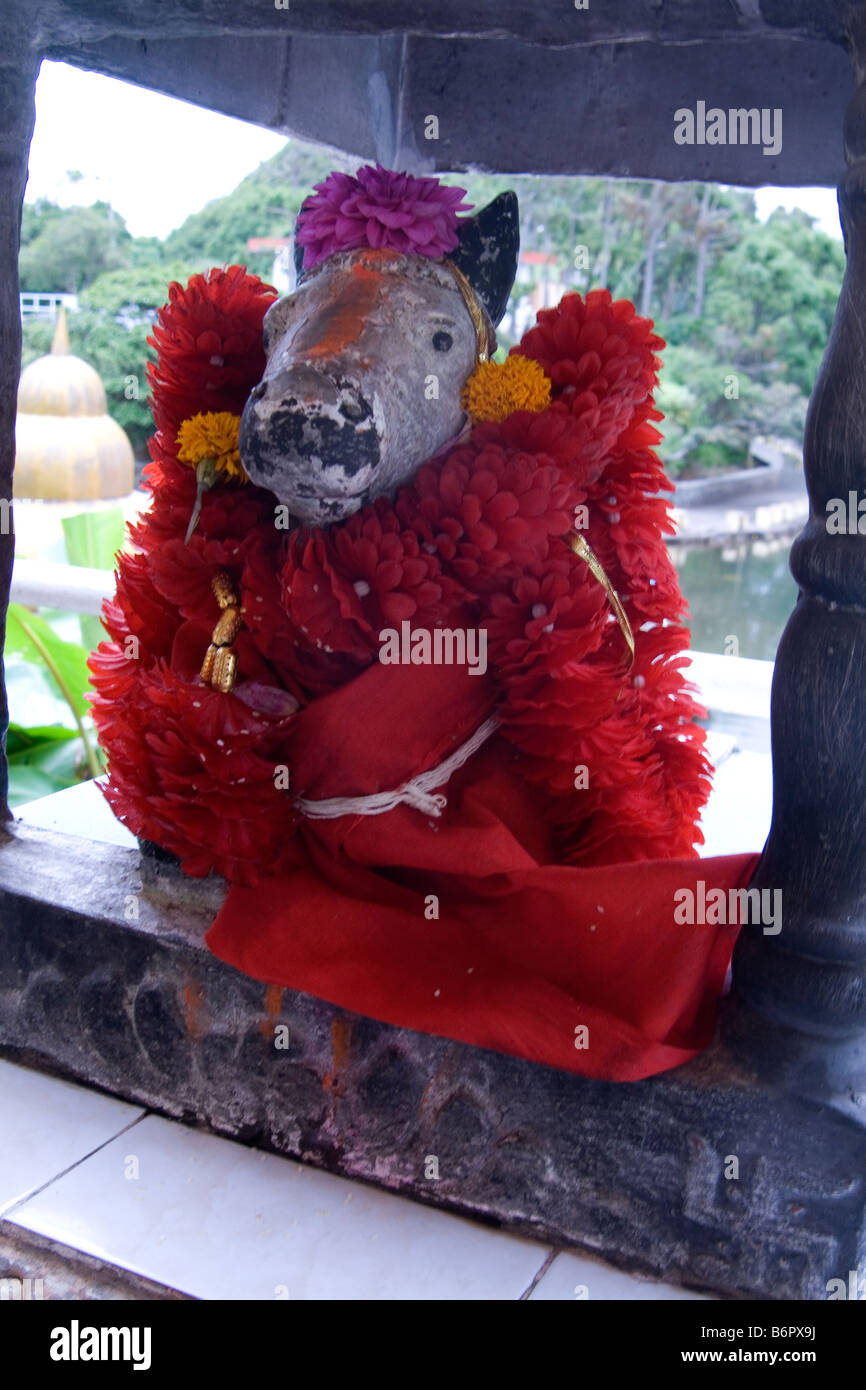 God cow hi-res stock photography and images - Alamy